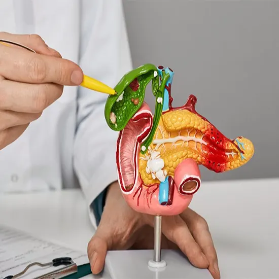 Bile Duct Cancer : Types, Stages, Symptoms, Causes, and Tests | Ganesh ...