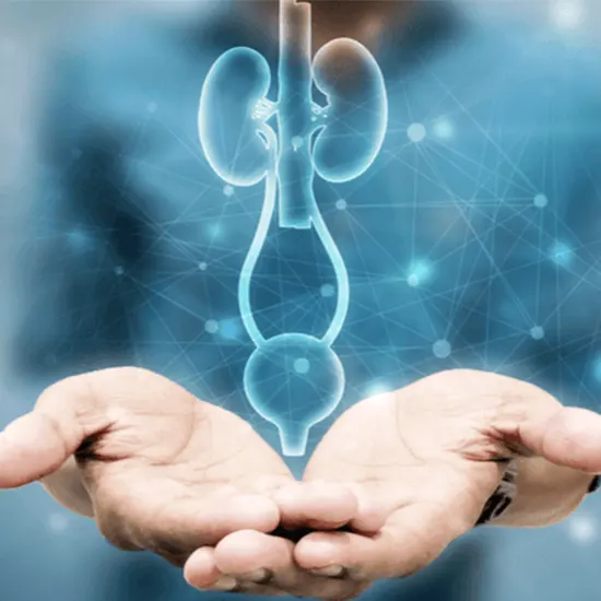 Kidney Cancer : Types, Stages, Symptoms, Causes and Tests | Ganesh ...