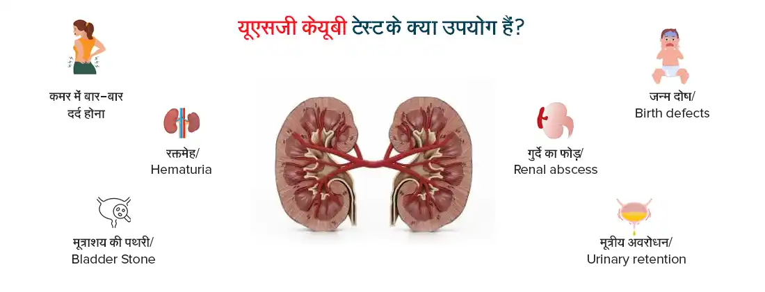 अल्ट्रासाउंड केयूबी: उद्देश्य, जोखिम, प्रक्रिया और परिणाम | गणेश ...