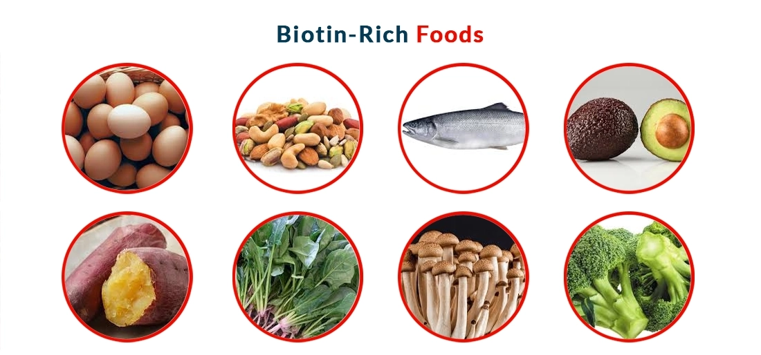 10 Best Biotin-Rich Foods You Must Add to Your Diet