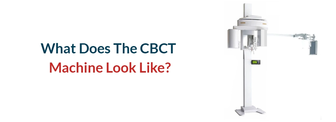 Know About CBCT Scan, A 3D Detailed View of Head and Neck