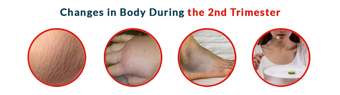 Tests Done in Second Trimester of Pregnancy | Ganesh Diagnostic