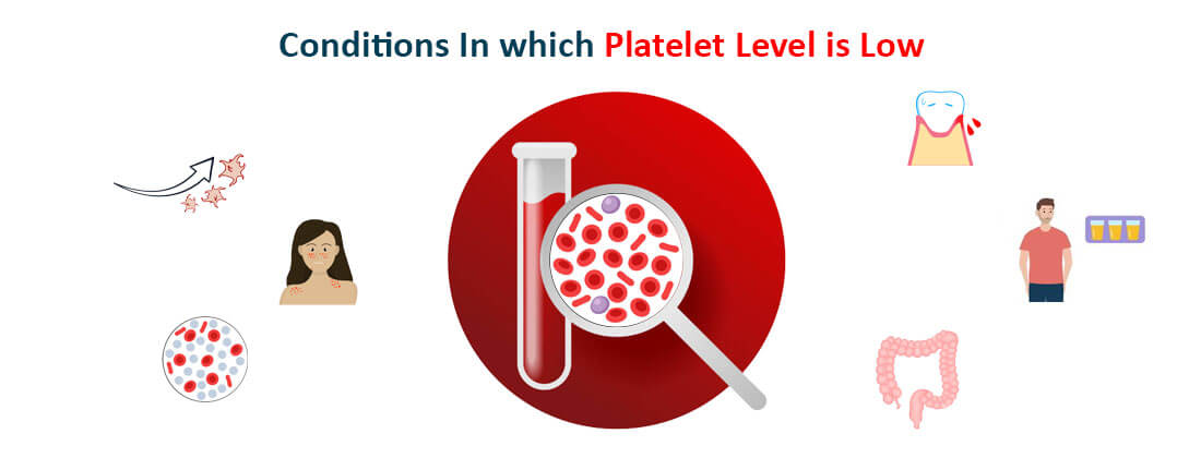 Know The Importance and Normal Levels Of Your Platelets | Ganesh Diagnostic