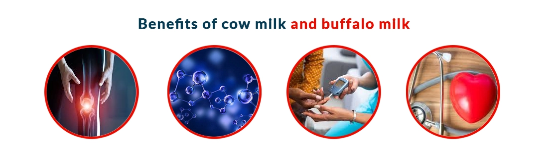 Cow Milk vs. Buffalo Milk: Differences in Nutrition, Which Milk is Good ...