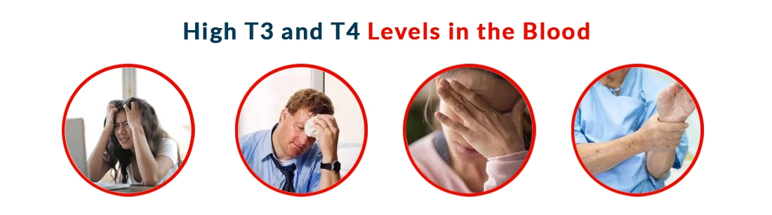 TSH Test: What Is T3, T4 and TSH Normal Range?