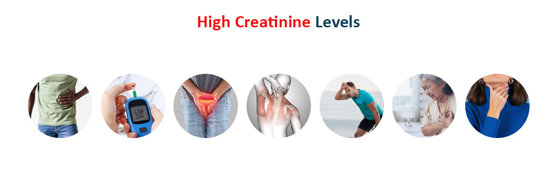Serum Creatinine Test : Normal Level and Test Indications | Ganesh ...