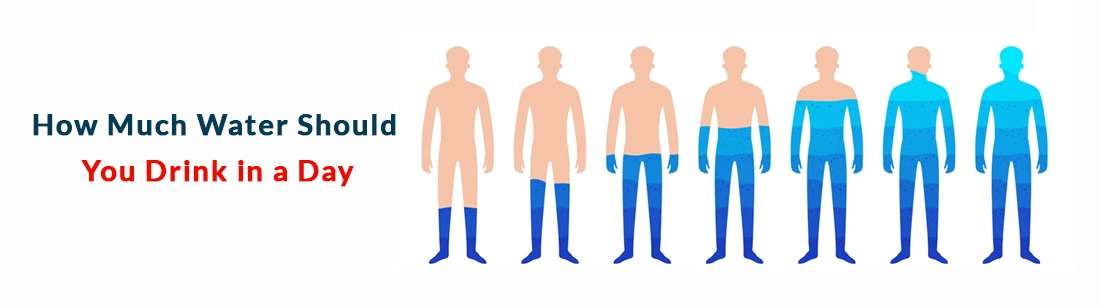 Water Intake Calculator: How Much Water Should We Drink in a Day