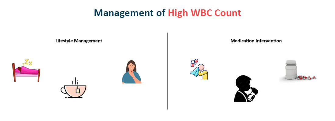 Know The Causes, Symptoms and Management of Elevated and High WBC Count ...