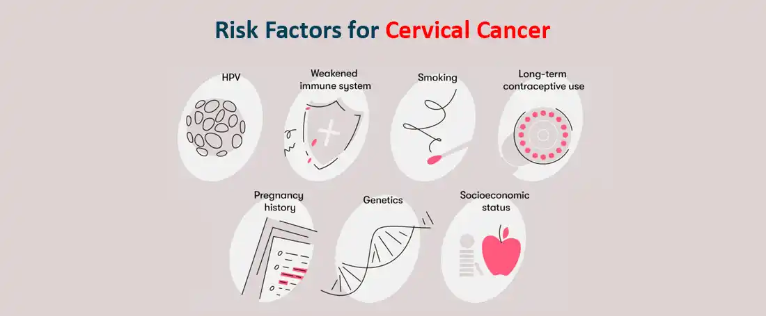 Understand Cervical Cancer: A Roadmap to Awareness, Prevention and ...