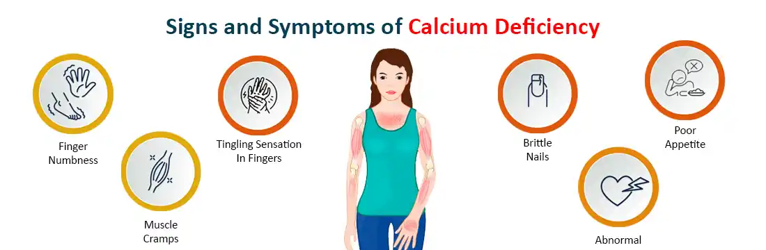 Bone Health: What Can Your Calcium Levels Tell You? | Ganesh Diagnostic