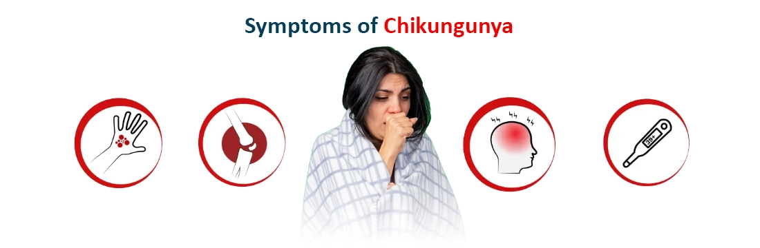 Chikungunya (CHIKV)- A Worldwide Infection | Ganesh Diagnostic