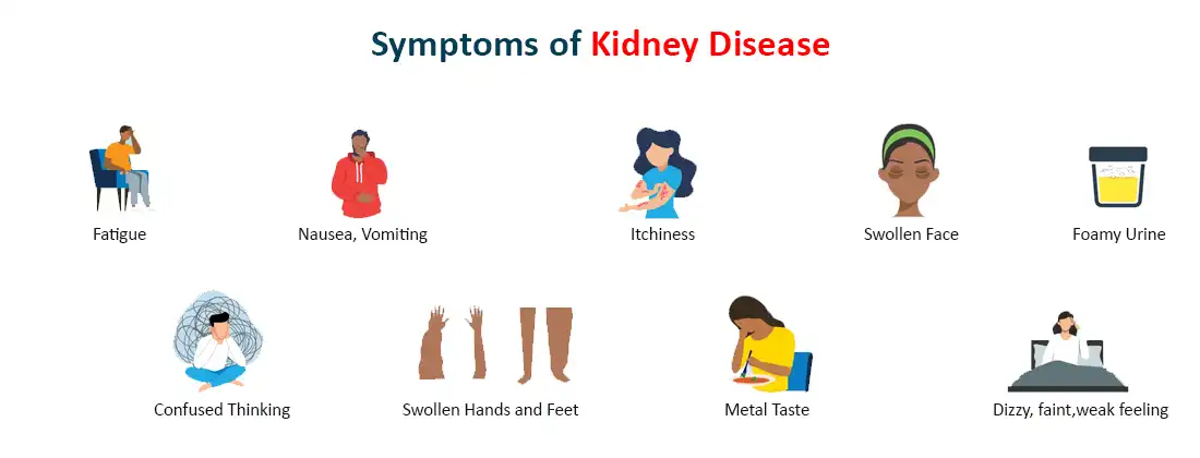 Identify Your Kidney Diseases: Causes, Symptoms, Diagnosis and ...