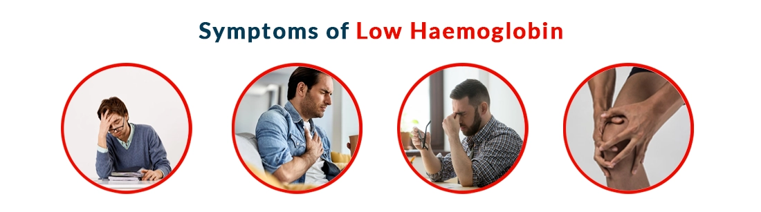 Top Hemoglobin Foods That can Increase your Hemoglobin Naturally