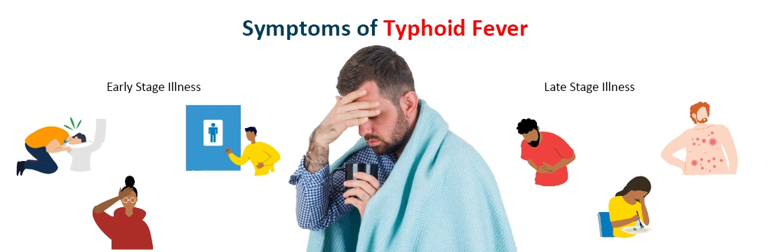 Blood Tests For Typhoid Fever: Symptoms, Causes and Treatment | Ganesh ...