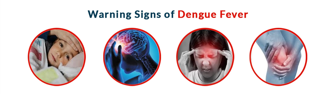 7 Warning Signs of Dengue Fever: Recognize the Symptoms Early