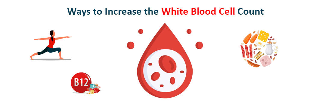 Protect Yourself From Illness- Know Why Your WBC Count is Low | Ganesh ...