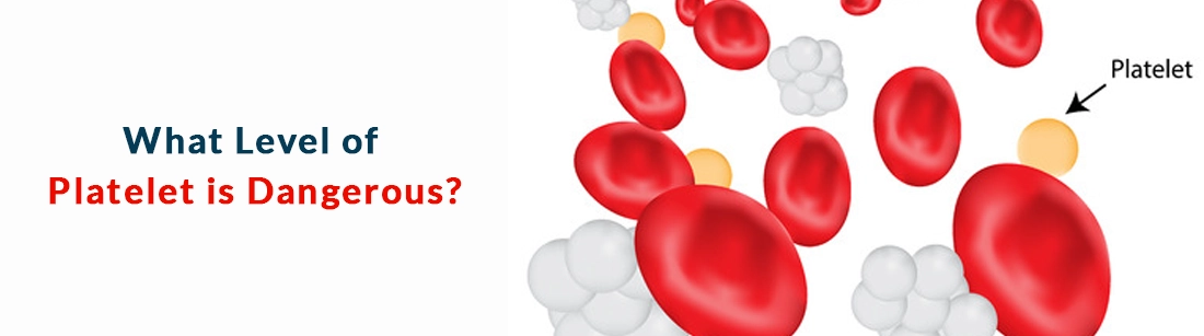 Platelets Normal Range What Is A Normal Blood Platelet Count?