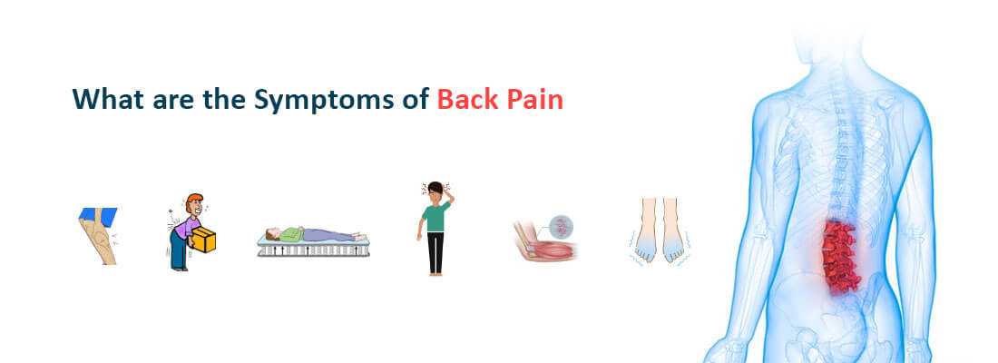 Overview of Back Pain: Diagnosis and Ways to Relieve the Ache