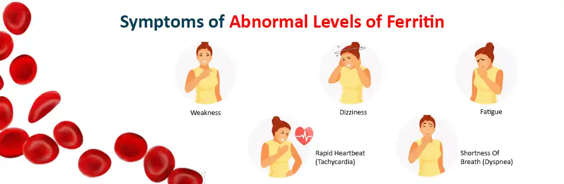 Significance Of Serum Ferritin Test : Purpose and Procedure | Ganesh ...
