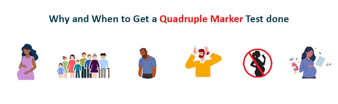 An Overview of Your Quadruple Marker Test To Identify any Birth Defects ...