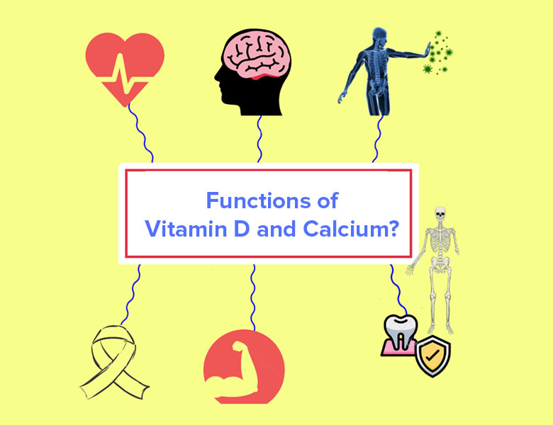 Vitamin D, Calcium and bone health: All you need to know