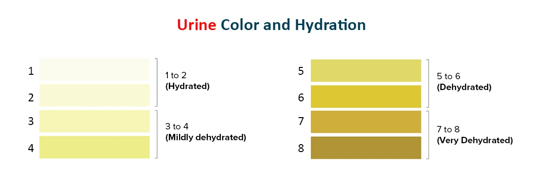 What Do Different Urine Colors Mean? Know Your Health Better | Ganesh ...