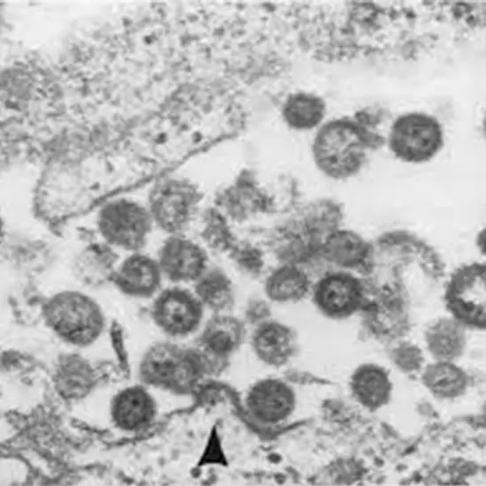 Best Diagnostic Centre in Delhi | Radiology & Pathology Service ...