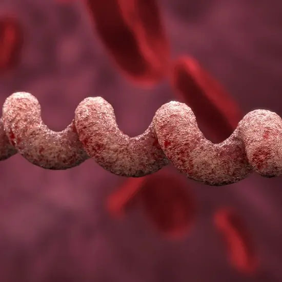 Bejel Syphilis And Yaws : The Triple Threat To Your Health | Ganesh ...