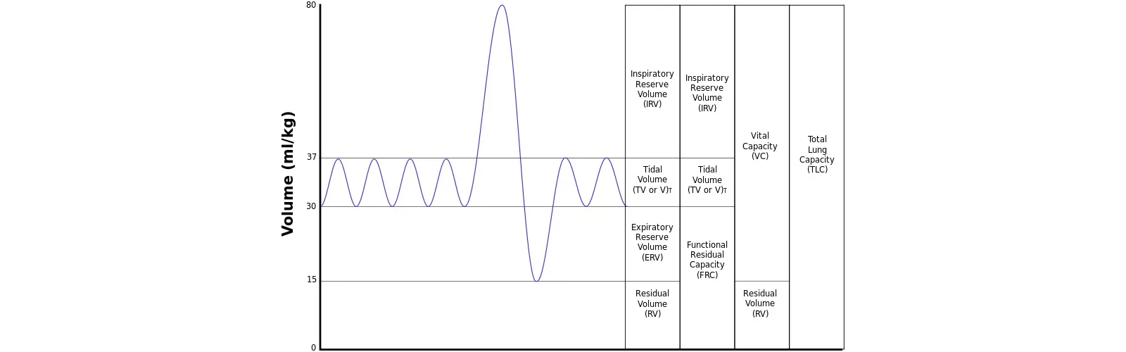 How Much Time Does It Take To Prepare PFT Report? | Ganesh Diagnostic