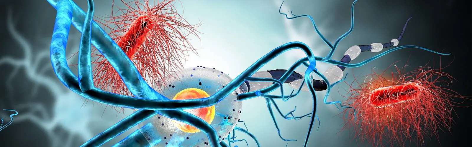 What all we can Diagnose from EEG?