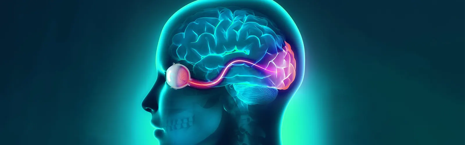 What Is The Procedure Of VEP? | Ganesh Diagnostic