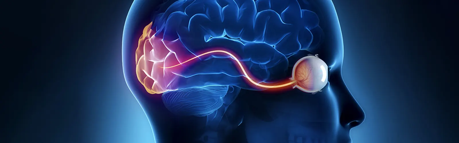 What Is The Charges Of VEP Test? | Ganesh Diagnostic