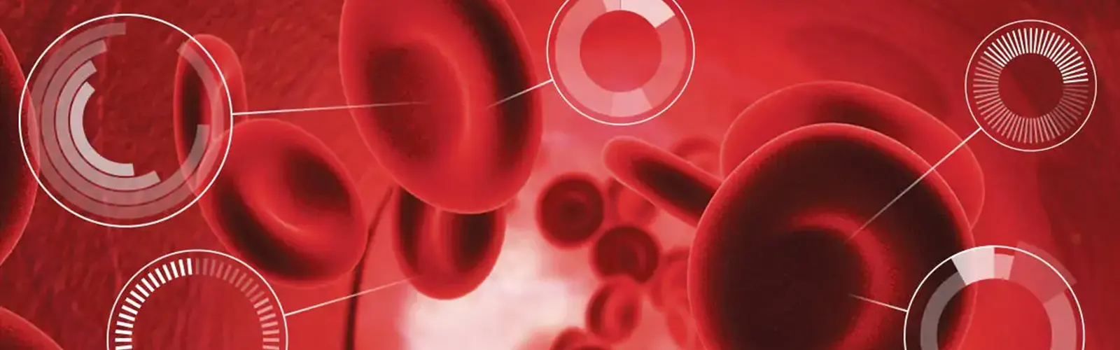 Top 10 Blood Tests for Your Journey Towards Healthy Life