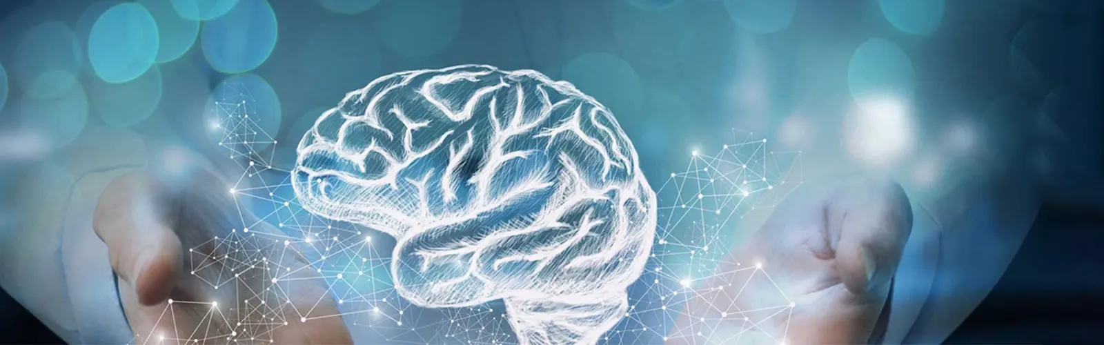 Getting An MRI Of Head? What To Do Before, During And After MRI Head ...