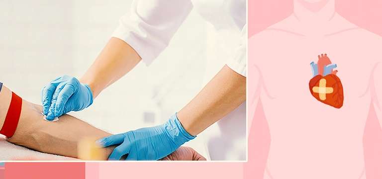 A Detailed Guide to Lipid Profile Test