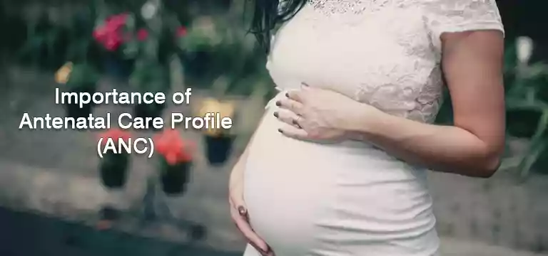 Importance of Antenatal Care (ANC) Profile : Nurturing Healthy ...