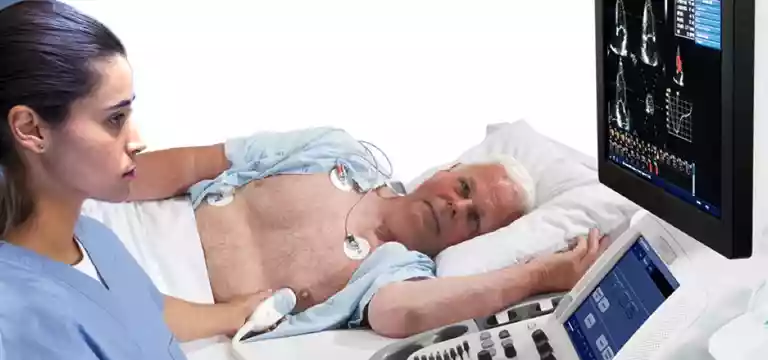A Detailed Guide to 2D Echocardiography
