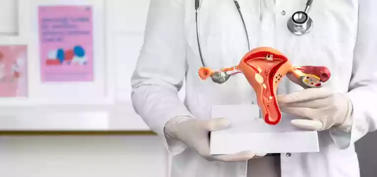 PAP Test - Purpose, Procedure & Price