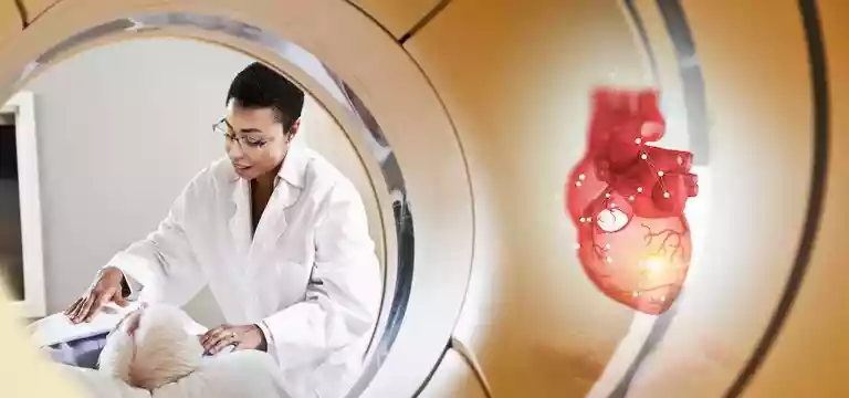 Assessing Heart Health with PET Scans: Cardiology Applications Explained