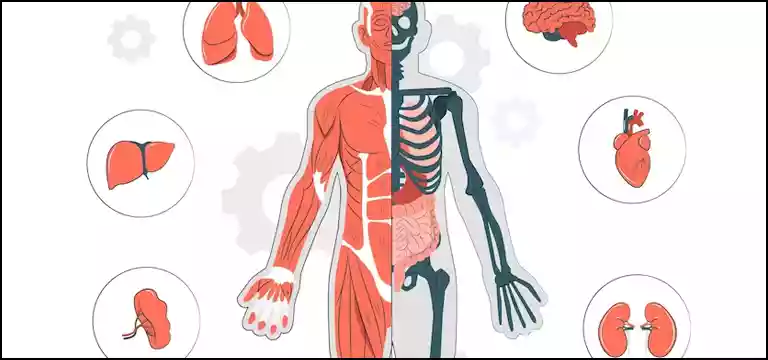 Tacrolimus Test: Why get tested and what do the results mean?
