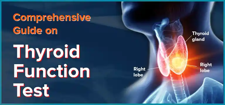 Comprehensive Guide on Thyroid Function Test | Ganesh Diagnostic