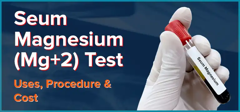 Seum Magnesium (Mg+2) Test at Home – Uses, Procedure and Cost