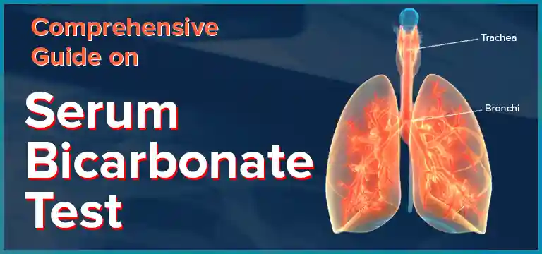 Comprehensive Guide on Serum Bicarbonate Test | Ganesh Diagnostic