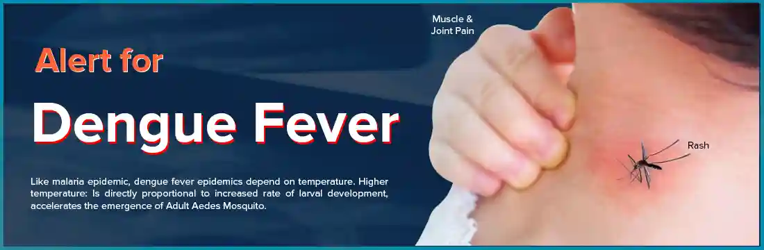 A Guide to Dengue fever - Symptoms, Causes, Diagnosis & Treatment