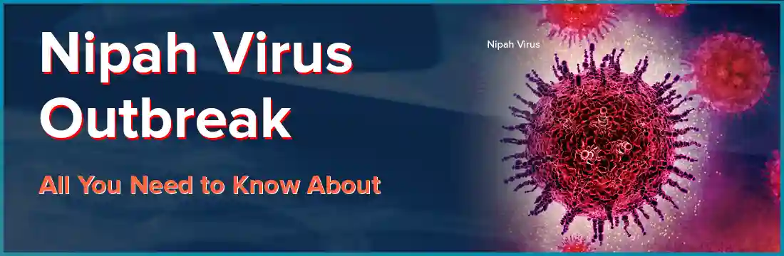 All You Need to Know About Nipah Virus Outbreak