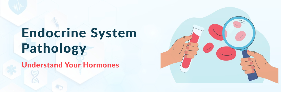 Endocrine System Pathology: Understand Your Hormones | Ganesh Diagnostic