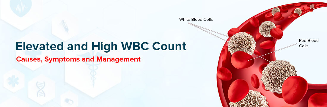 Know The Causes, Symptoms and Management of Elevated and High WBC Count ...