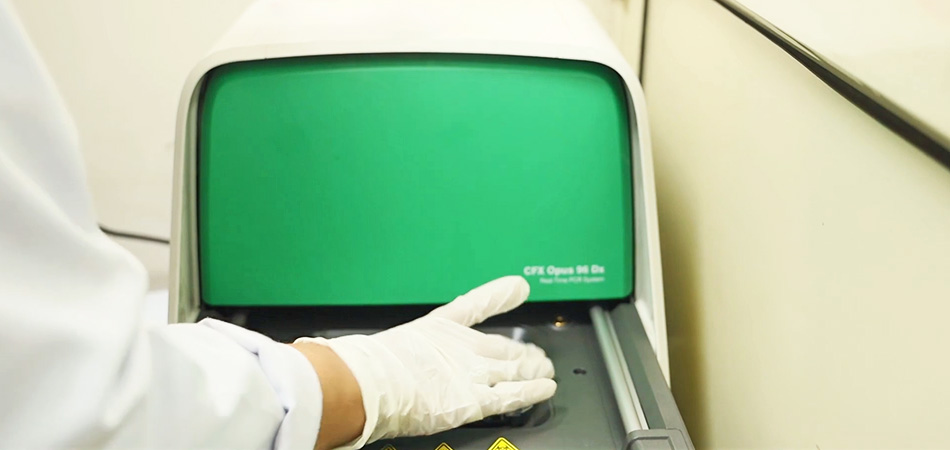 All About Hepatitis B virus Qualitative and Real-time PCR