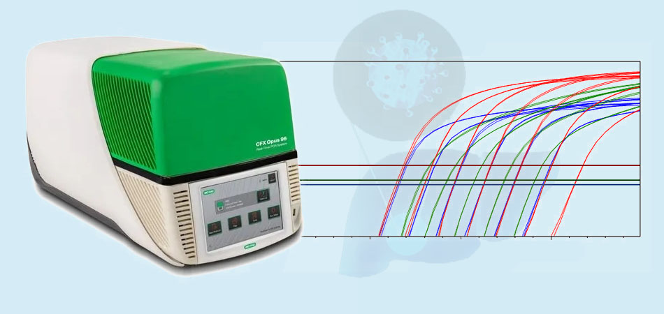 Hepatitis B virus Quantitative Real-Yime PCR: Gold Stranded for HBV ...