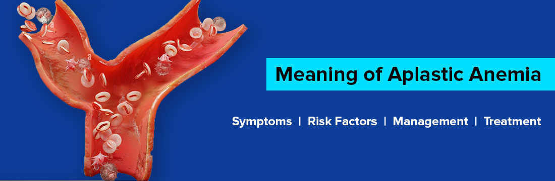 Meaning of Aplastic Anemia: Symptoms, Risk Factors, Management and ...